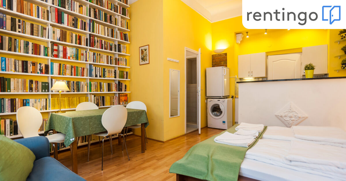 Studio apartment for rent in the mid. of city - Budapest - Rentingo ...